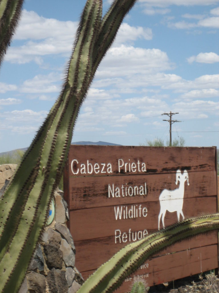 Cabeza Prieta Visitor Center | Rubber Tramp Artist