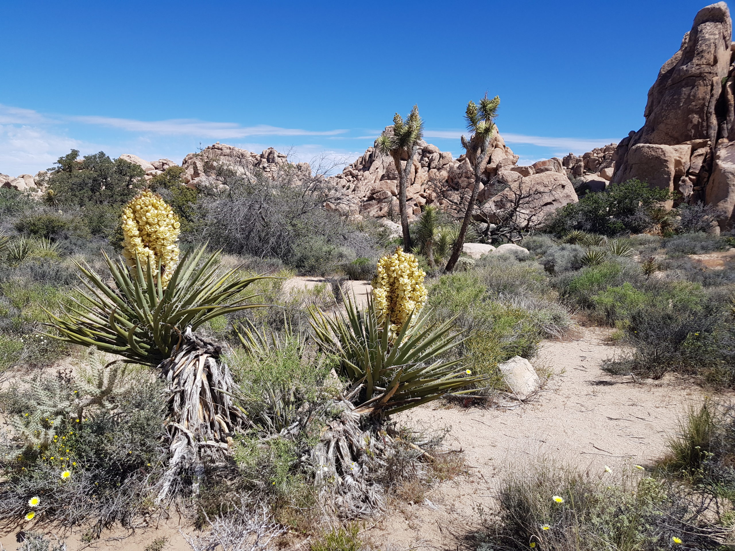 Moonrises, Monuments & Motorhomes — Journeys to the American Southwest ...