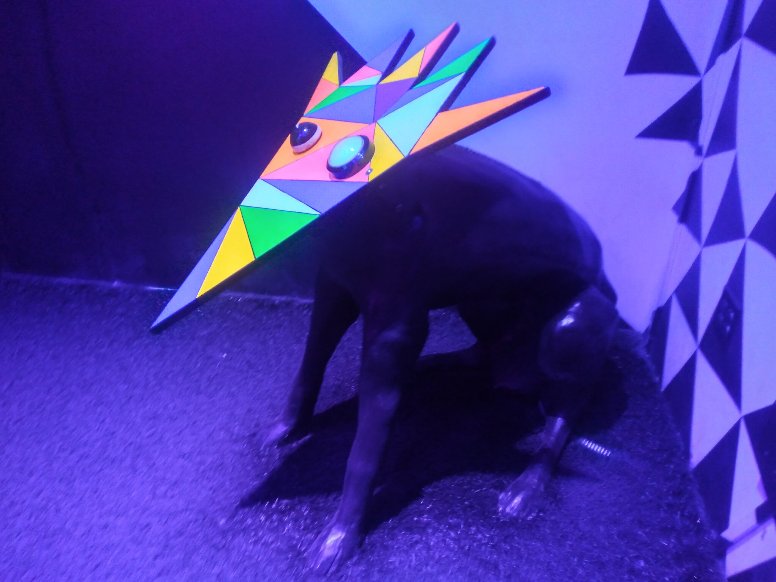 Art at Meow Wolf | Rubber Tramp Artist
