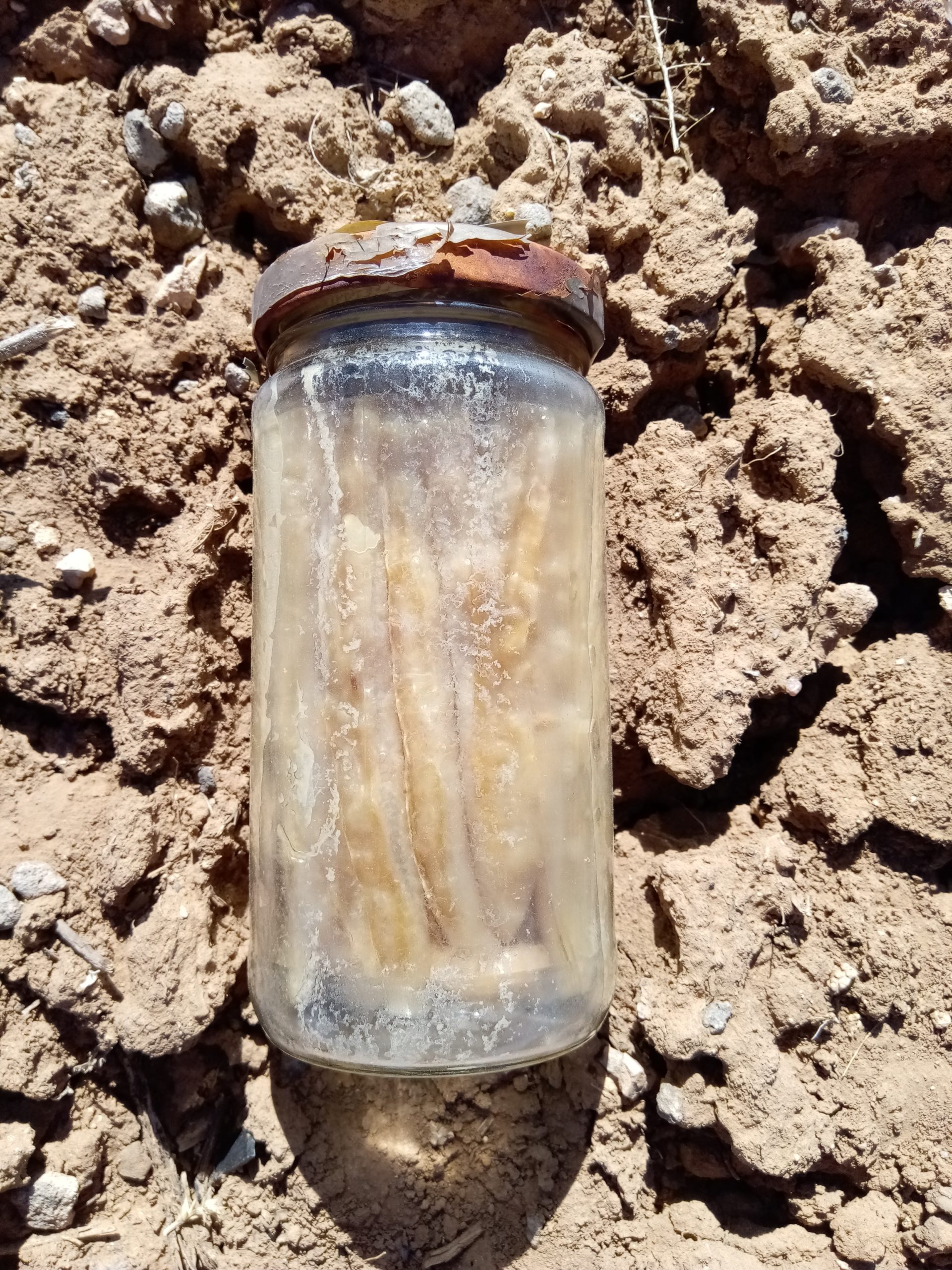 The Land of Broken Dreams | Rubber Tramp Artist