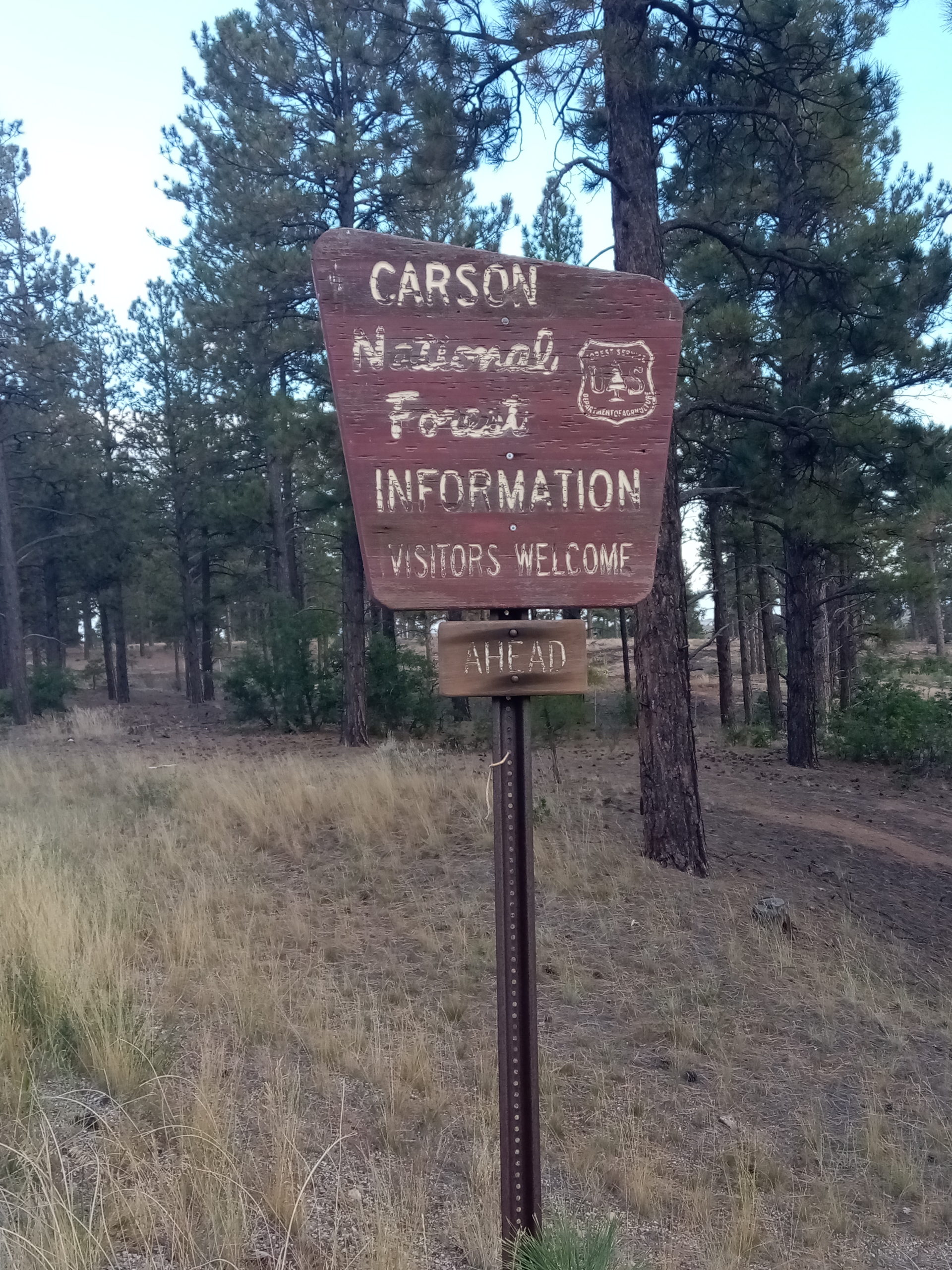 Free Camping in the Carson National Forest Near Tres Piedras, New ...