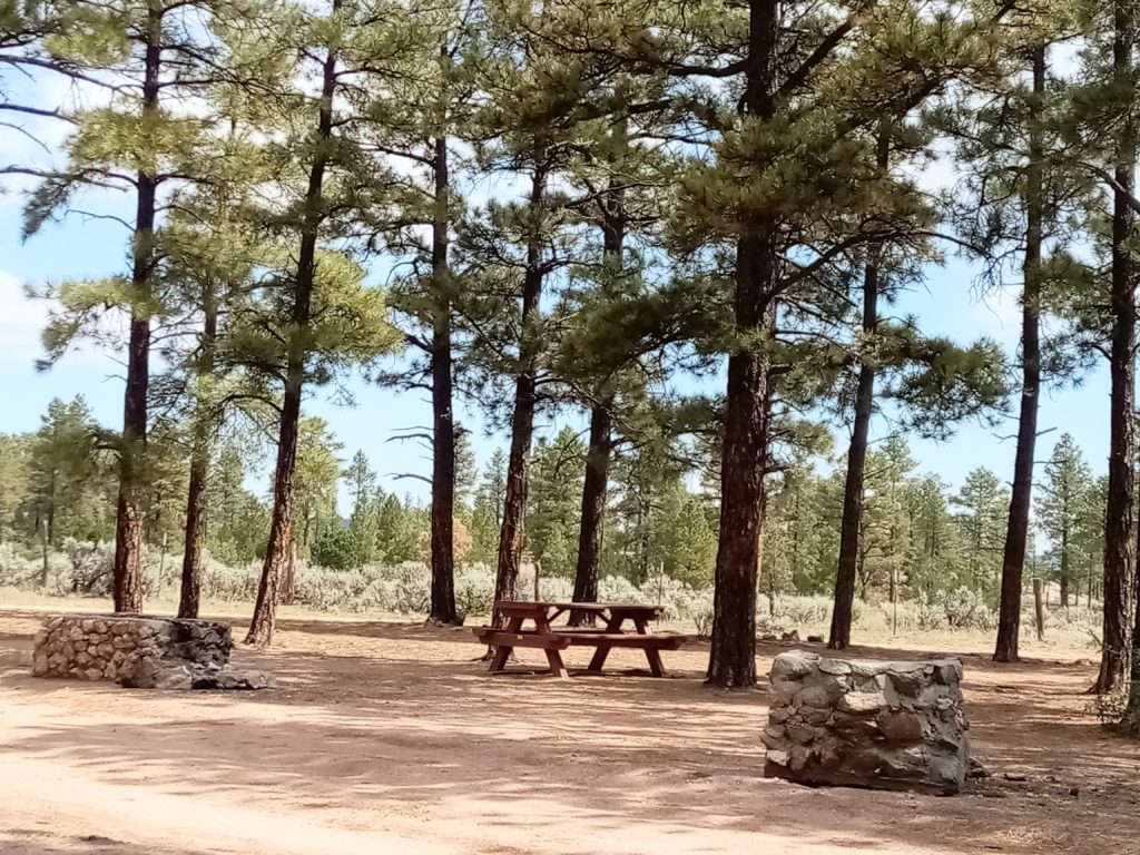 Free Camping in the Carson National Forest Near Tres Piedras, New ...